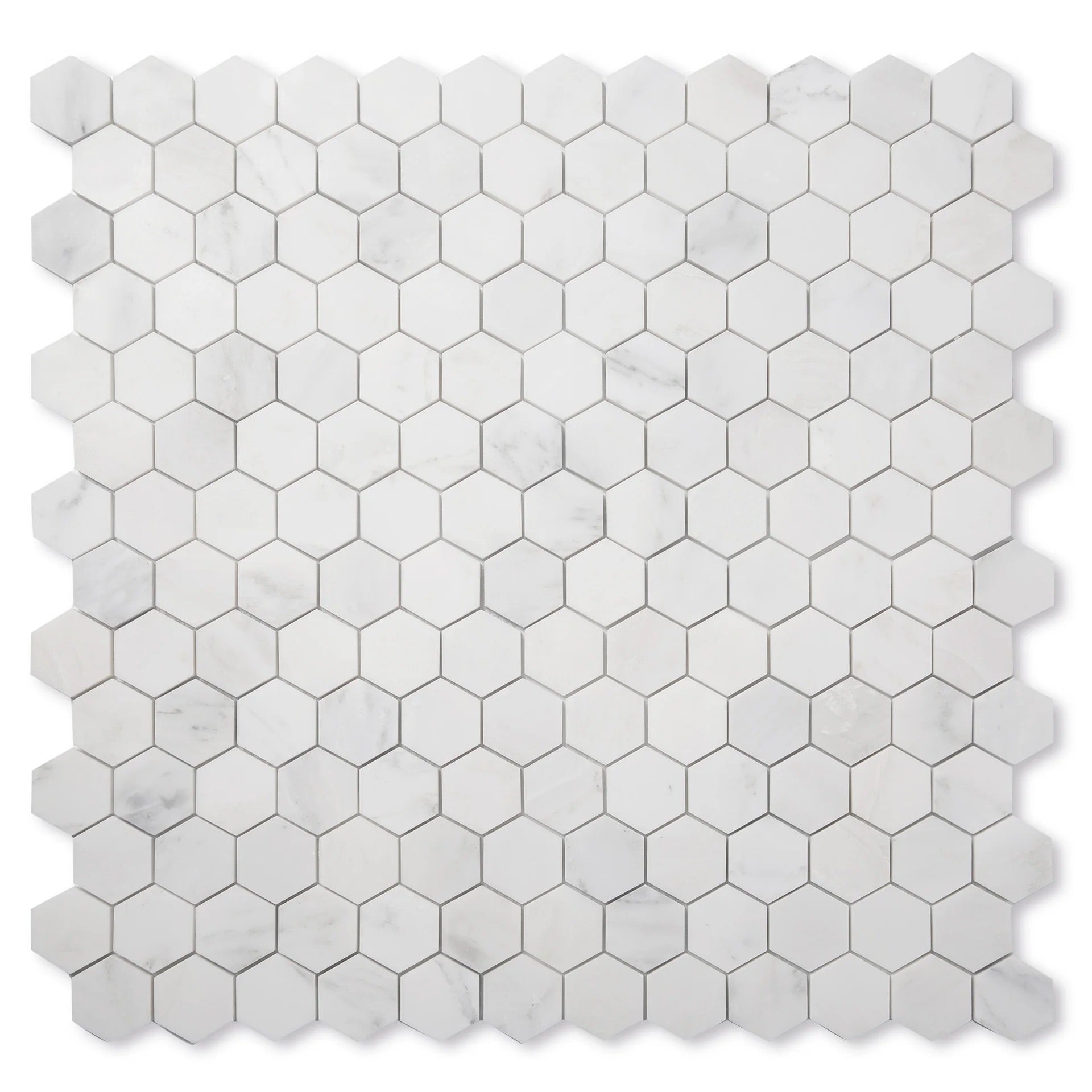 Princess Bianca Hex – KPGD