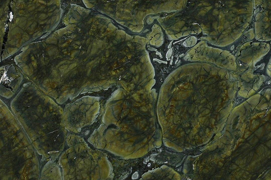 Green Victoria – KPGD