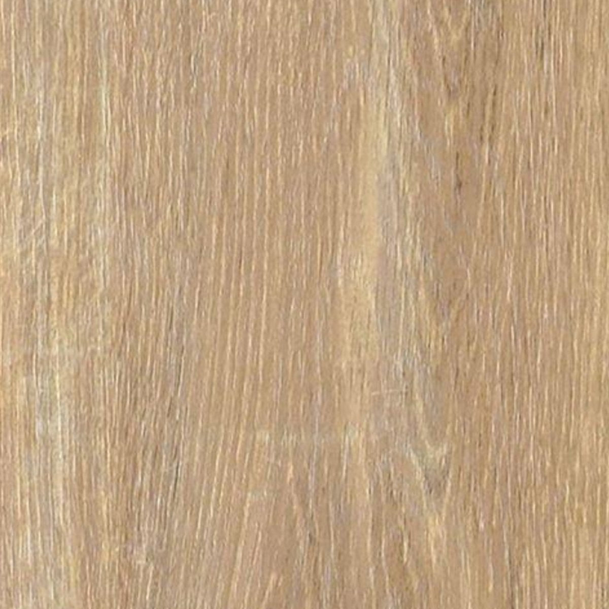 Miele Forest – KPGD