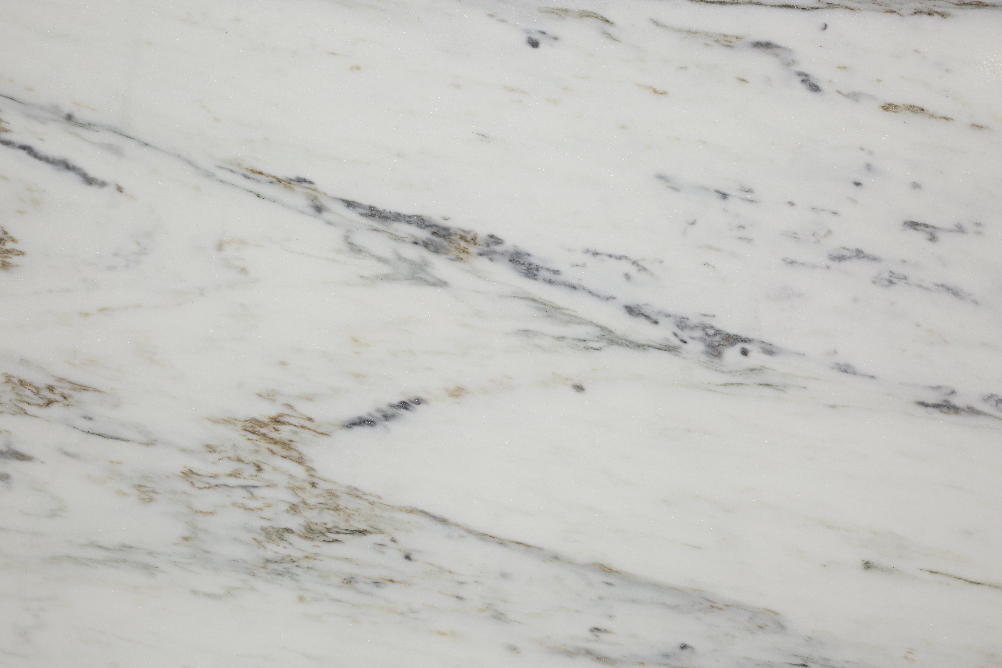 Tessla Bianco – KPGD