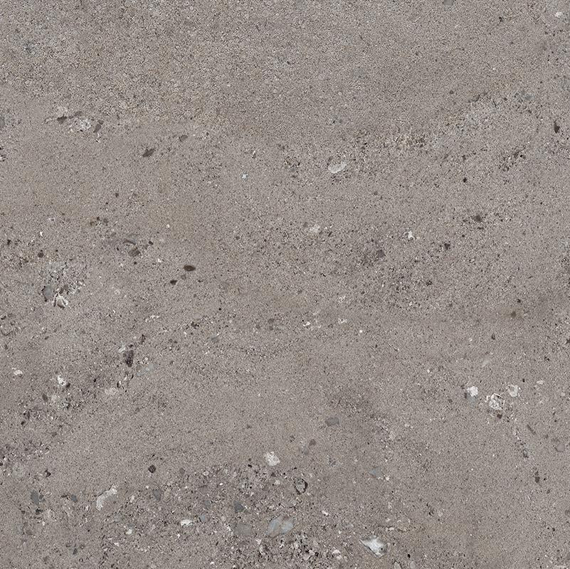 Seashore – KPGD